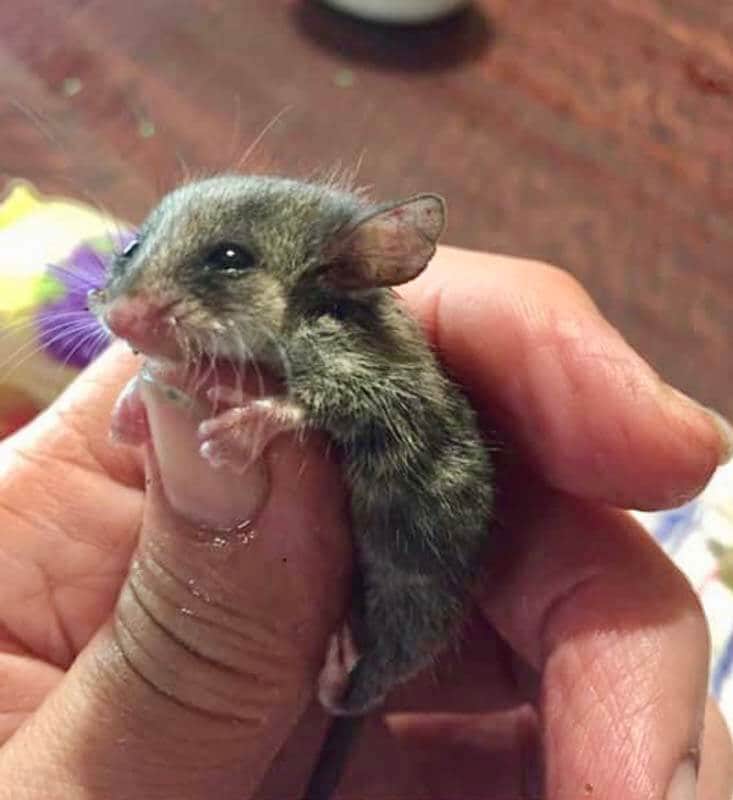 Discover - Woolworths Online