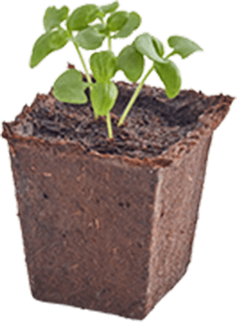 Woolworths Discovery Garden | Woolworths Online