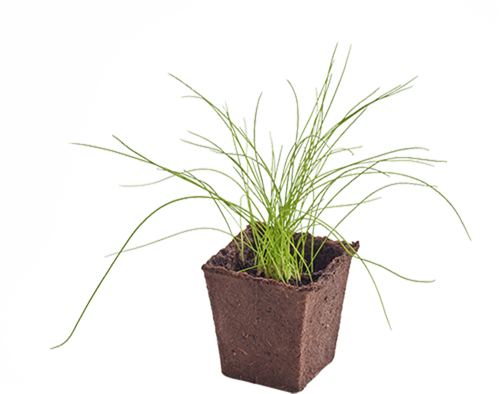 Woolworths Discovery Garden | Woolworths Online