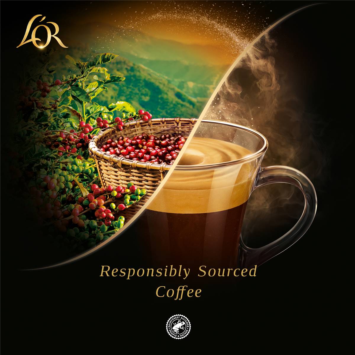 L'or Double Barista Selection Coffee Capsules 10 Pack | Woolworths