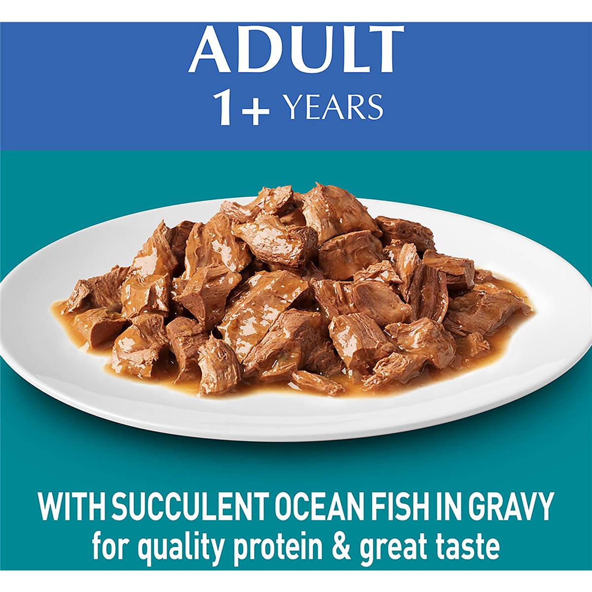 Purina One Adult Ocean Fish In Gravy Wet Cat Food 70g | Woolworths