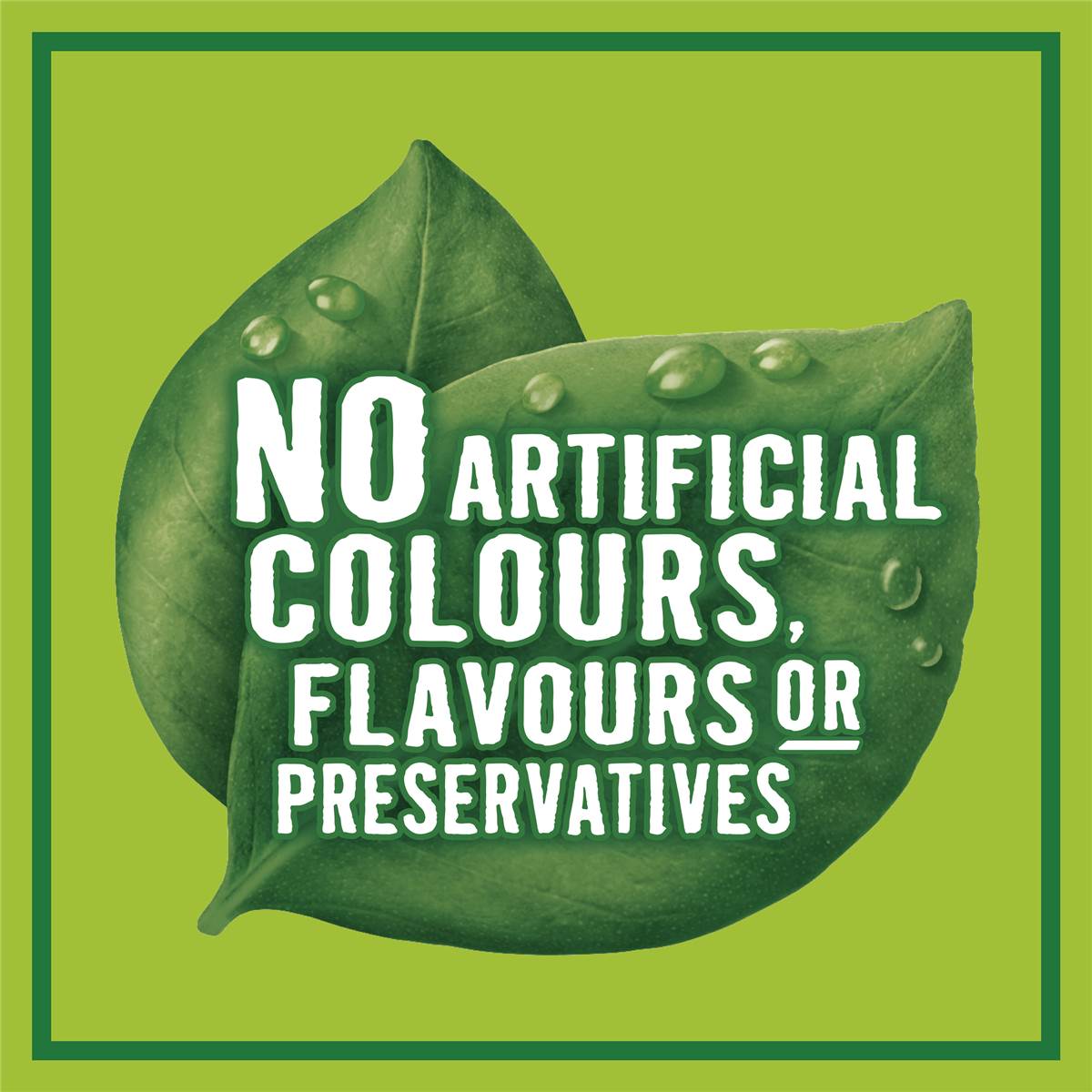 Golden Circle Australian Canned Fruit Tinned Pineapple Slices In Syrup ...