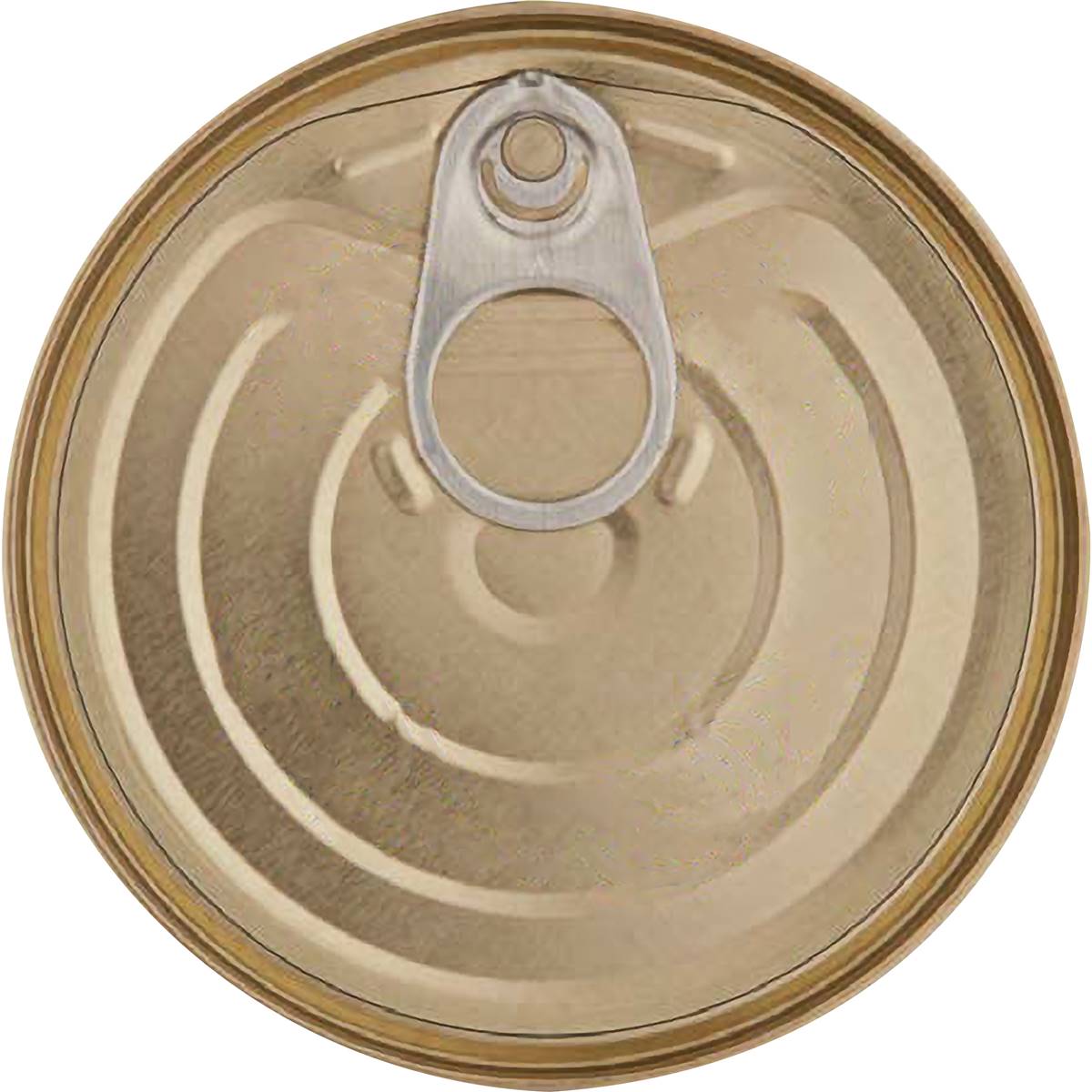 Edgell Australian Diced Capsicum Canned Vegetables 125g | Woolworths