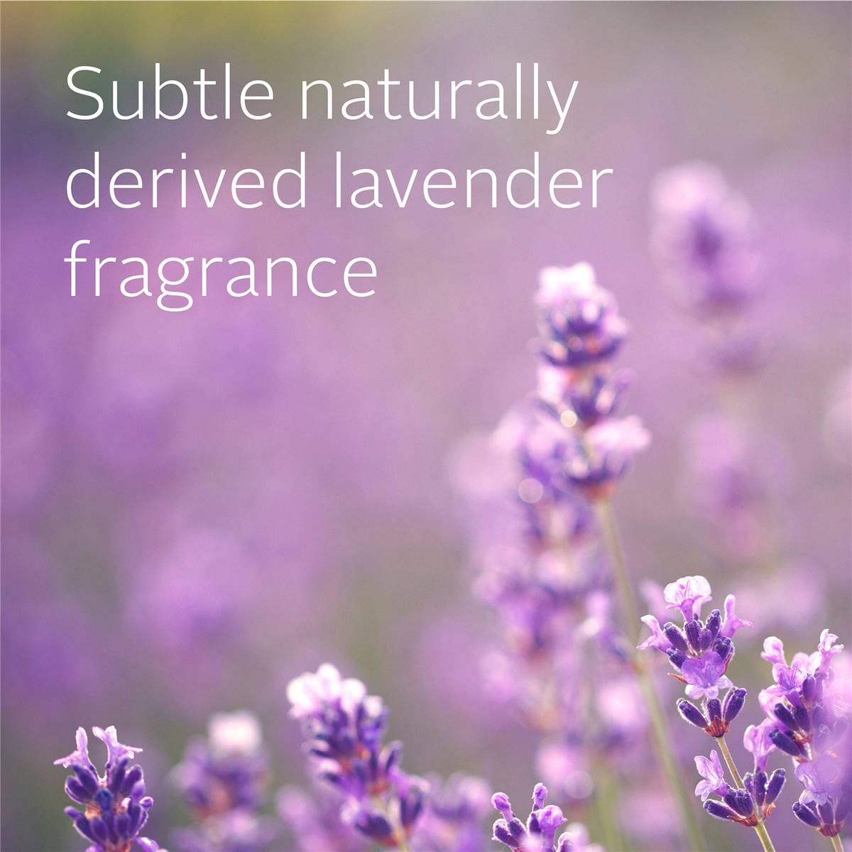 Ecostore Baby Foaming Body Wash & Shampoo 250Ml at Caitlyn Lavater blog