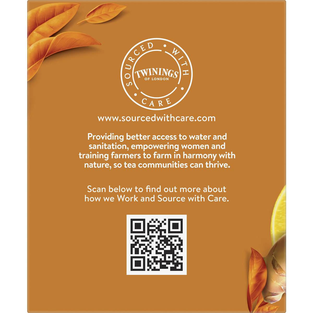Twinings Lemon & Ginger Tea Bags 10 Pack 15g | Woolworths Twinings Lemon & Ginger Tea Bags 10 Pack 15g | Woolworths