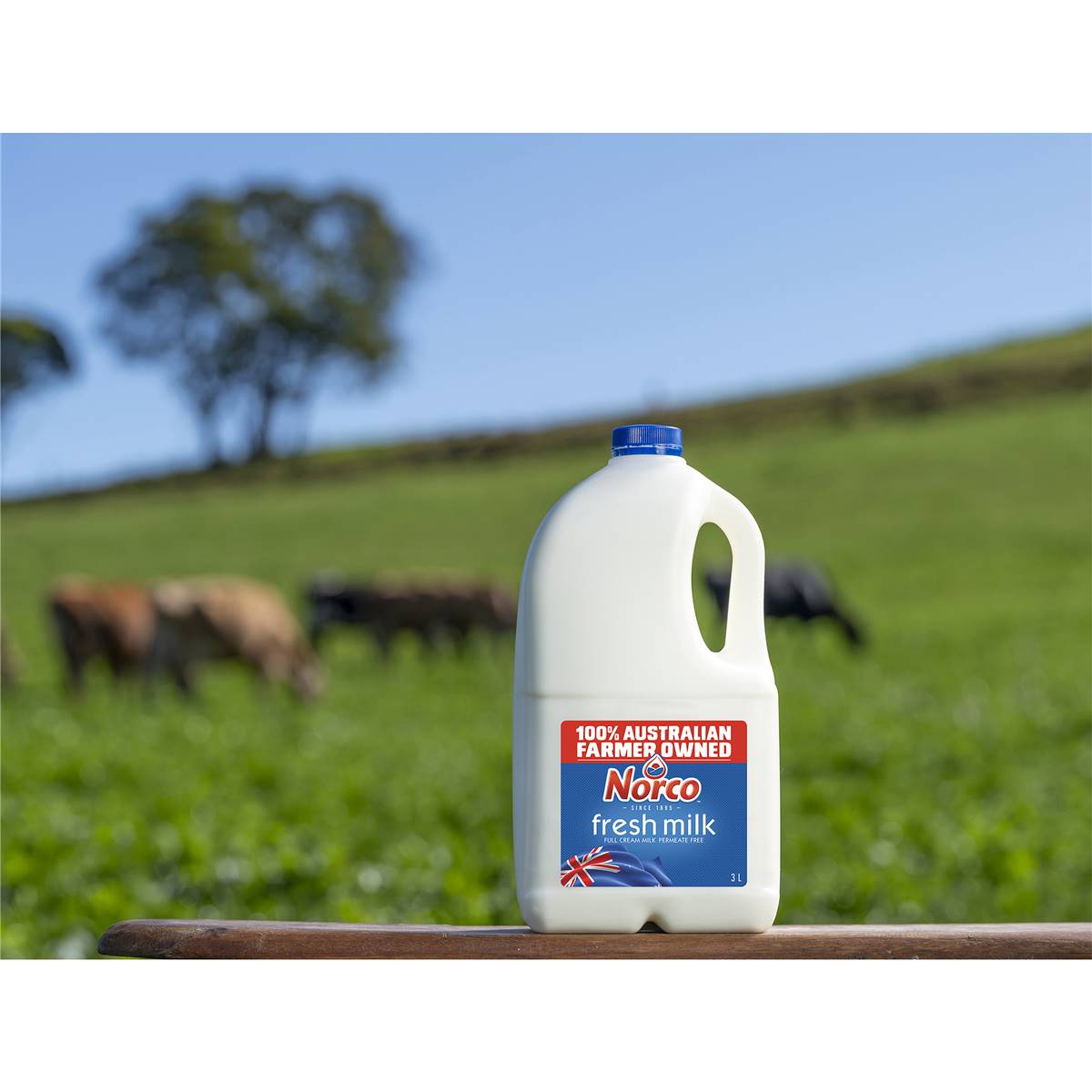 Norco Full Cream Milk 3l | Woolworths