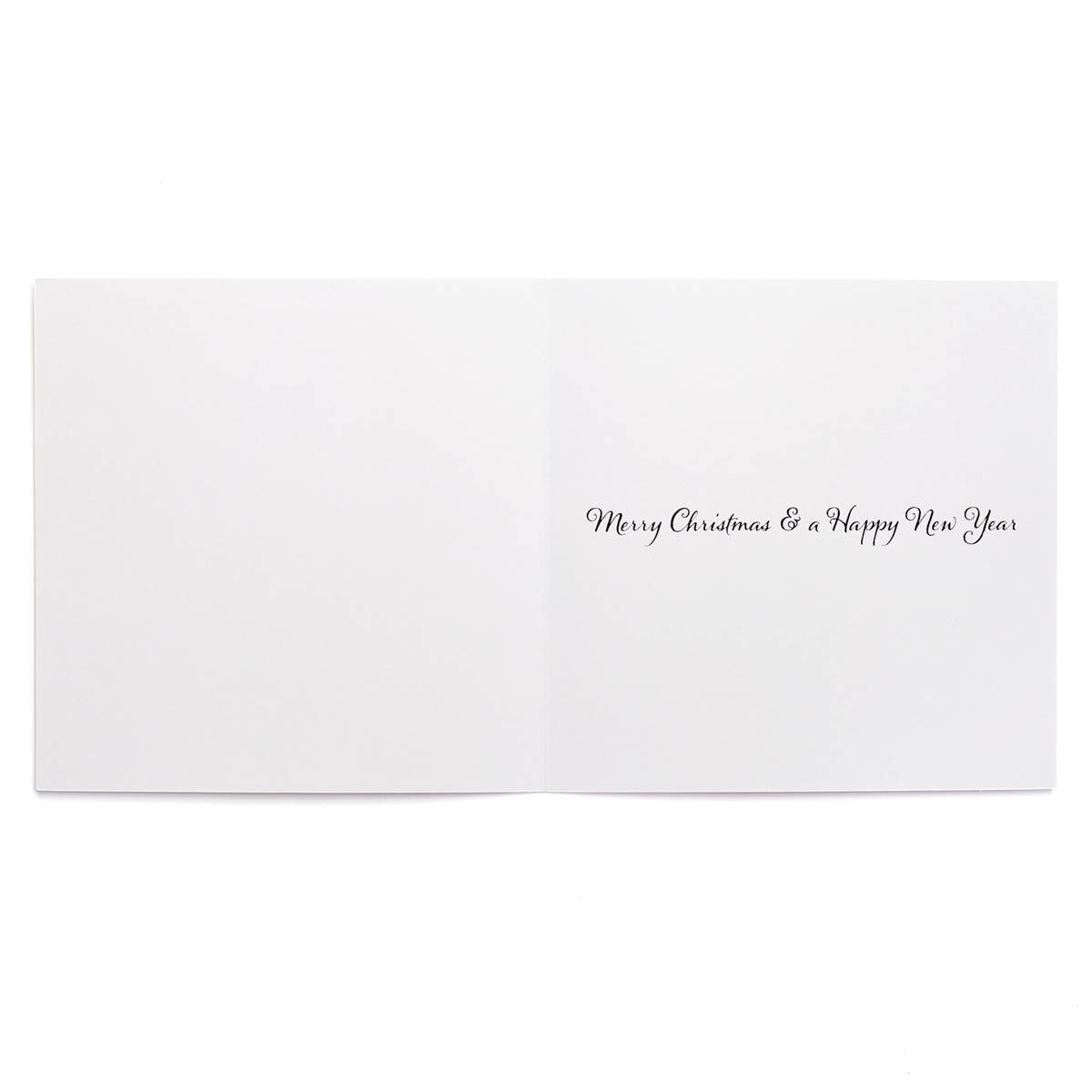 John Sands Glad Tidings Boxed Christmas Cards 10 Pack | Woolworths