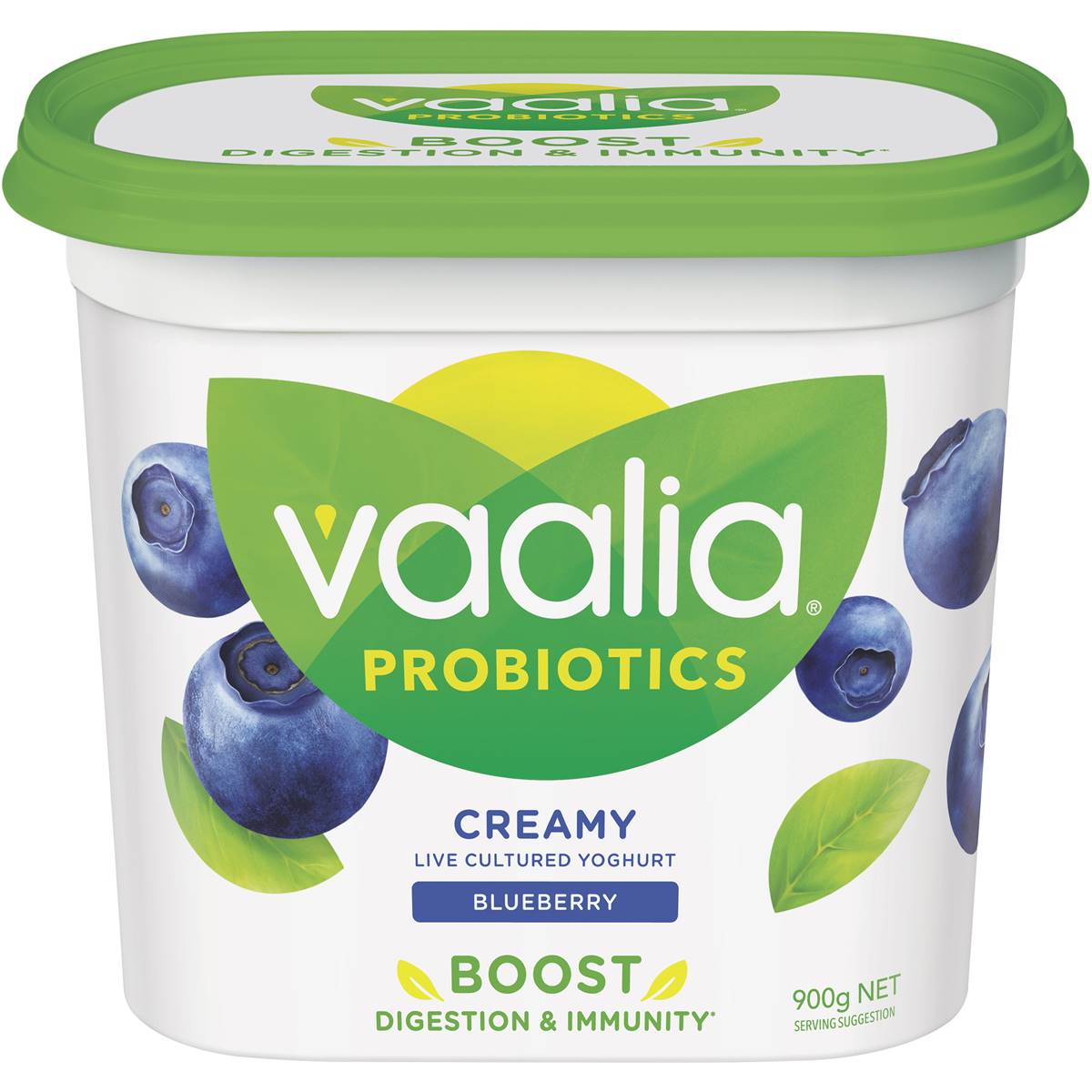 Vaalia Probiotic Blueberry Yoghurt 900g | Woolworths