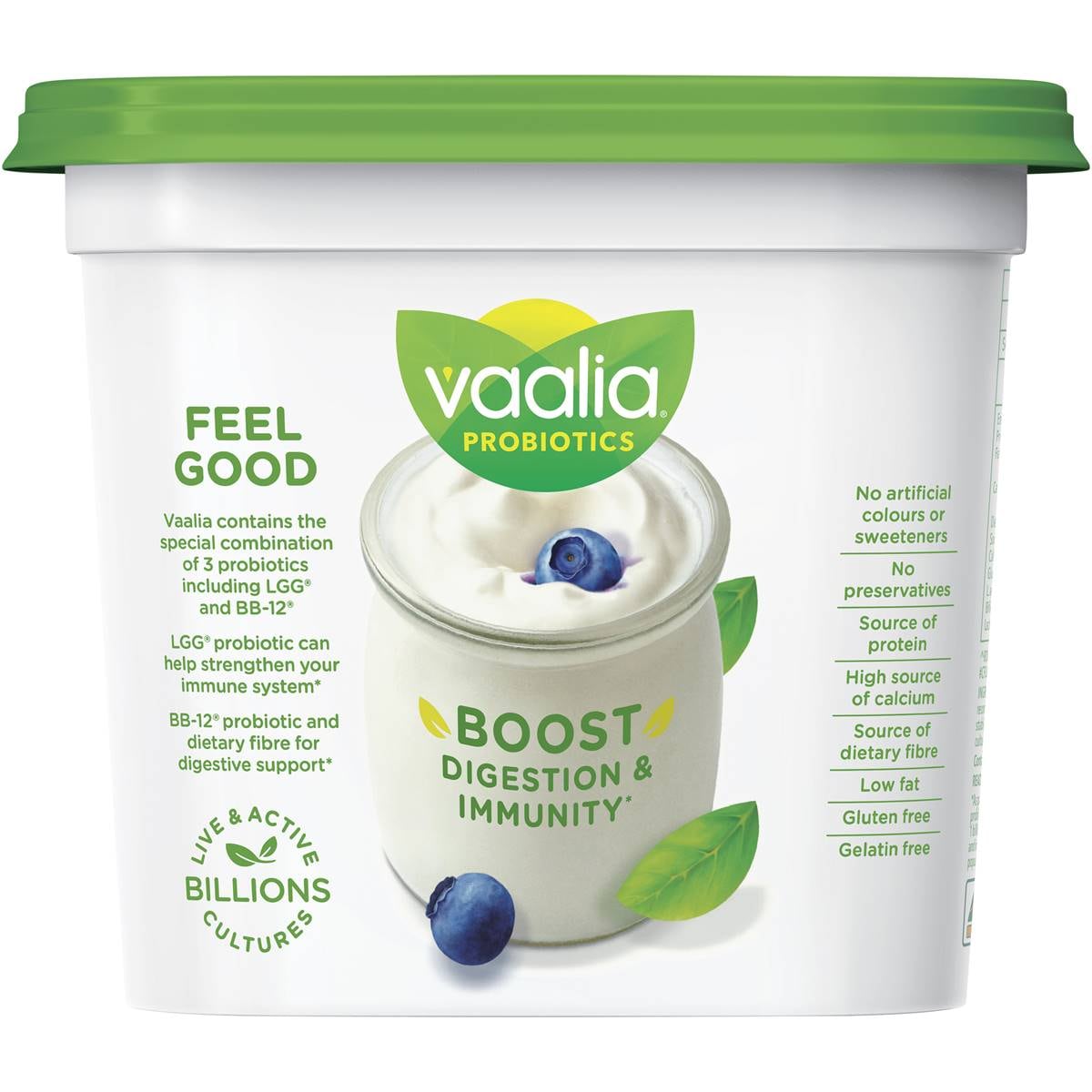 Vaalia Probiotic Blueberry Yoghurt 900g | Woolworths