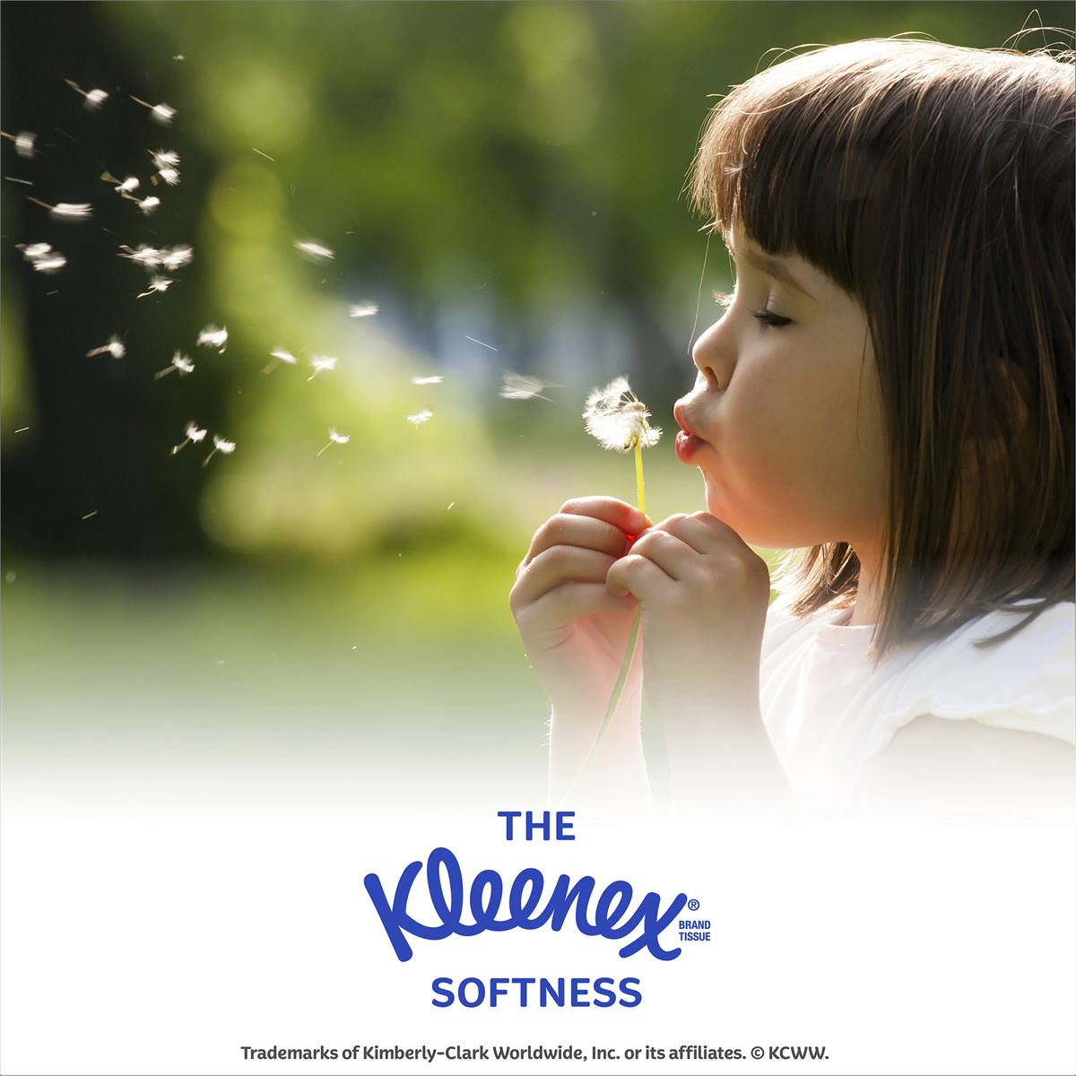Kleenex Everyday 2 Ply Facial Tissues 200 Pack | Woolworths