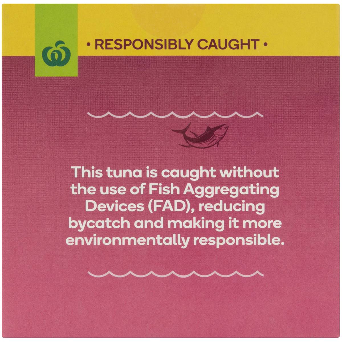 Woolworths Yellowfin Tuna & Rice Tom Yum Fried Rice 190g | Woolworths