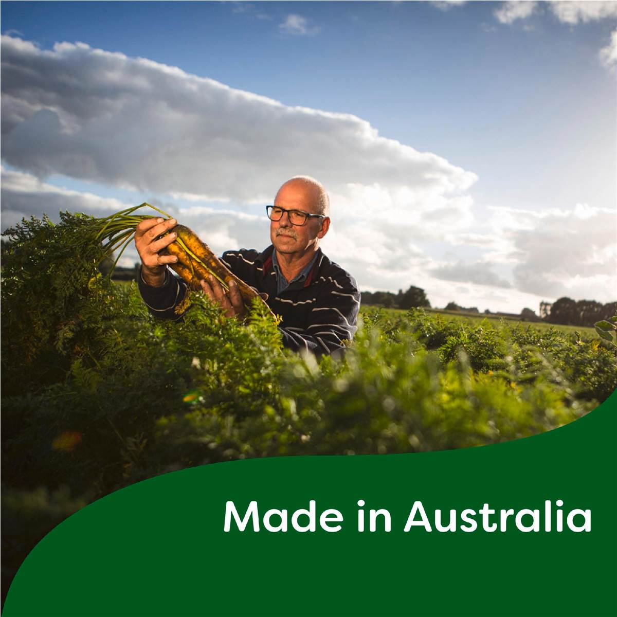 Continental Classics Fried Rice Oriental Family Pack 180g | Woolworths