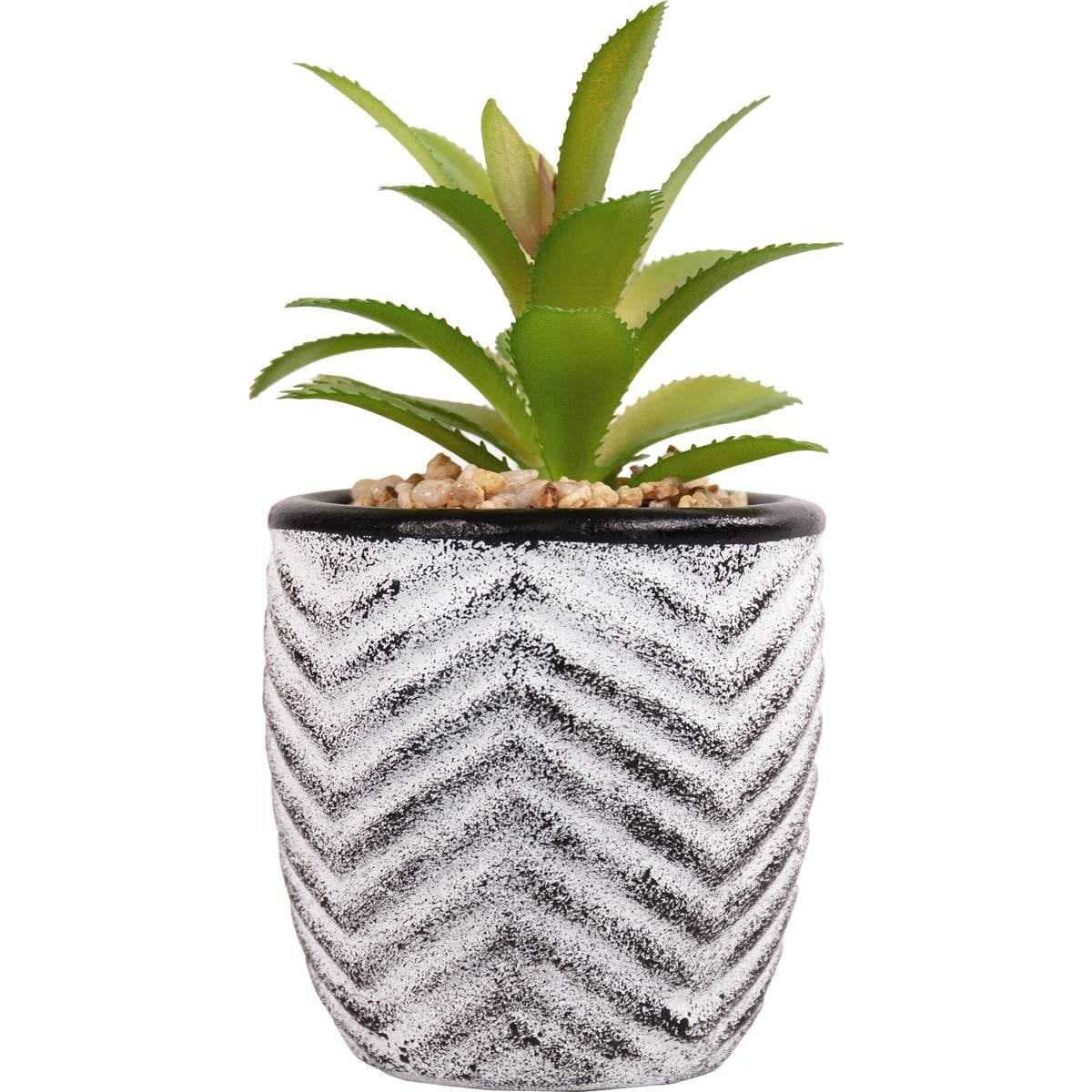 Inspire Artificial Plants Assorted Each | Woolworths