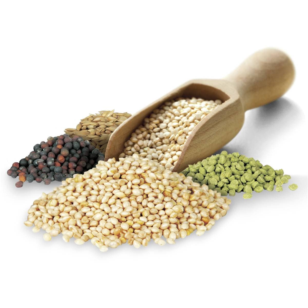 Trill Small Parrot Mix 1.8kg | Woolworths