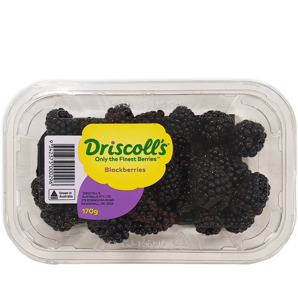 Blackberries Punnet 170g | Woolworths
