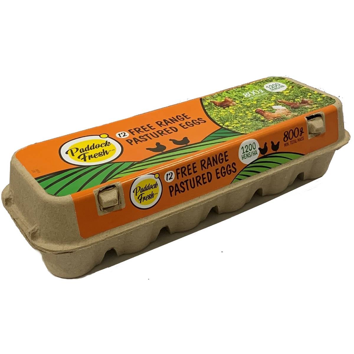 Paddock Fresh 12 Free Range Pastured Eggs 800g | Woolworths