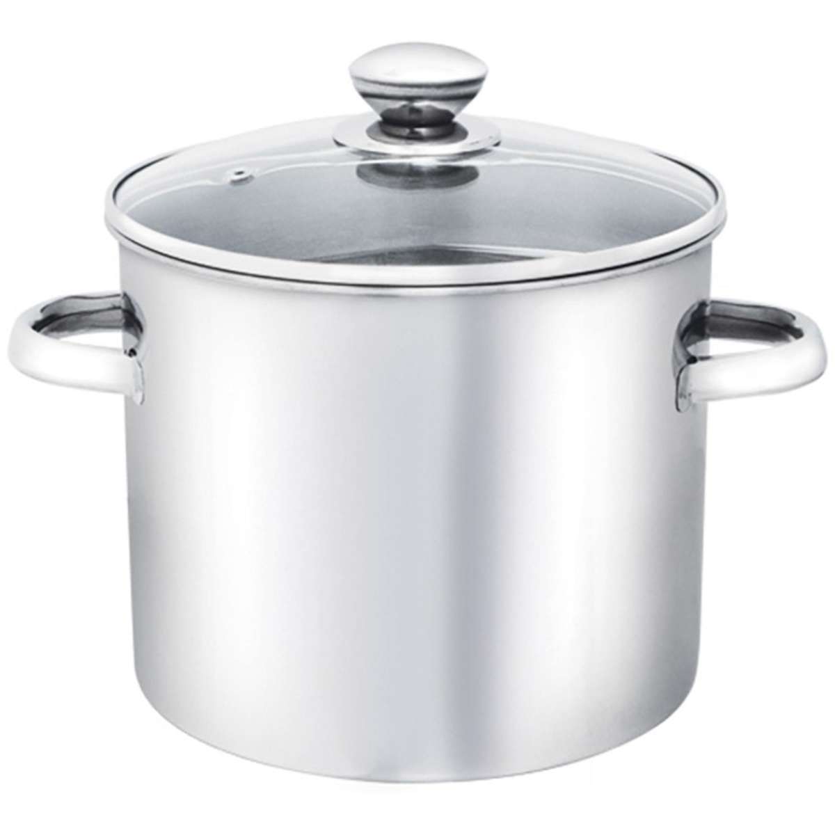 Brilliant Basics Stock Pot 19L Silver | Woolworths