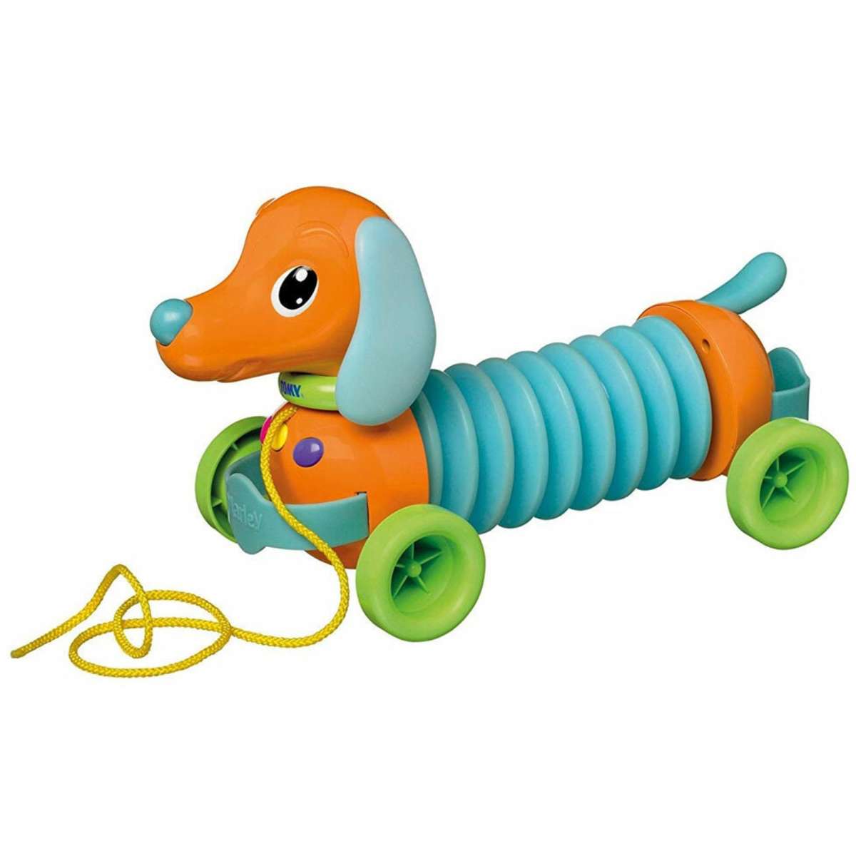 Tomy Marley the Musical Accordion | Woolworths