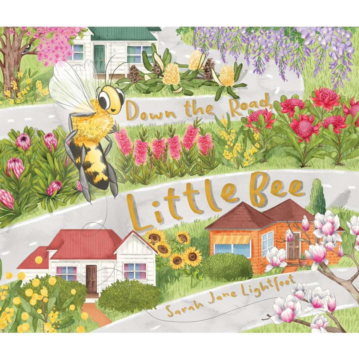 Down the Road Little Bee by Sarah Jane Lightfoot | Woolworths