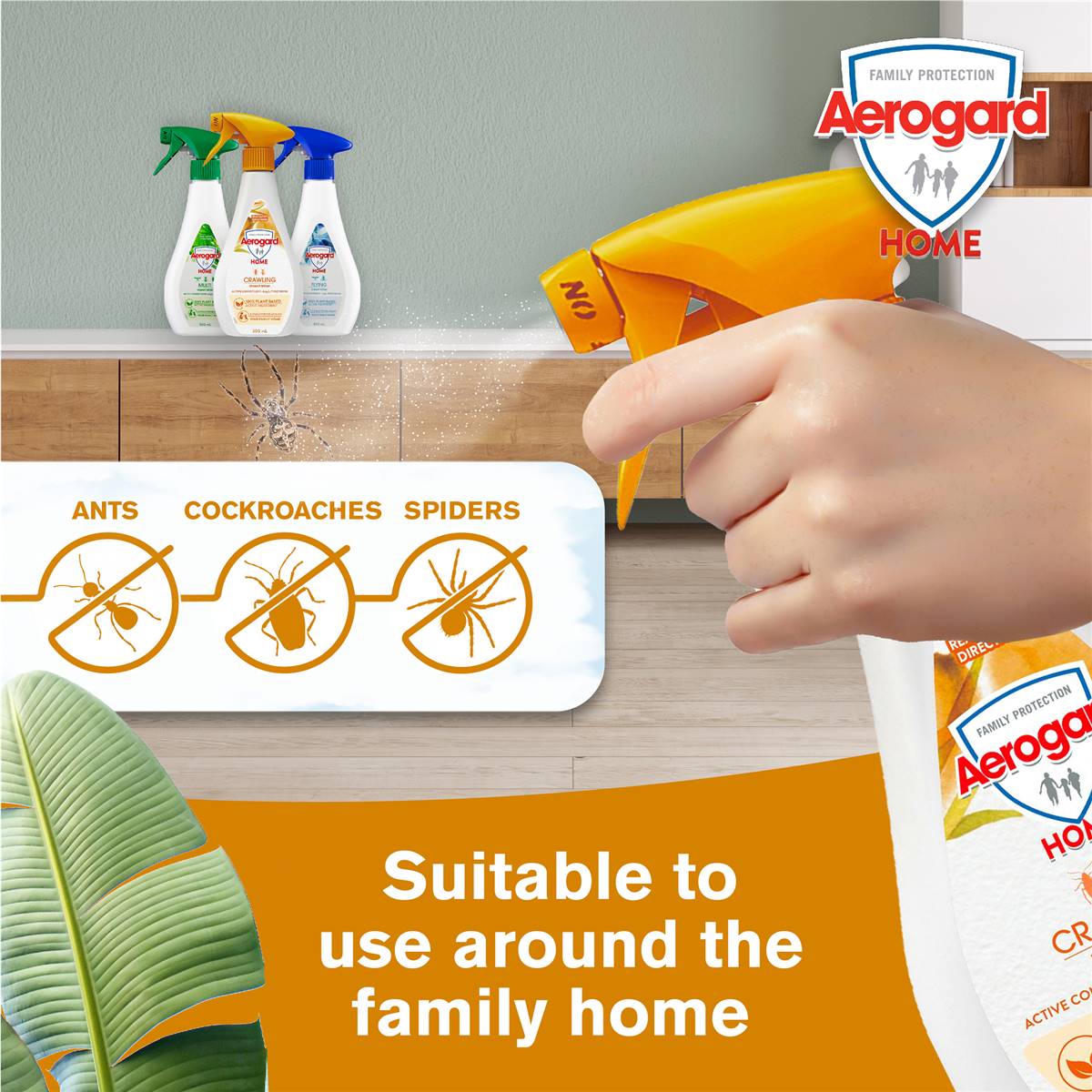 Aerogard Home Crawling Insect Killer Spray 300ml | Woolworths