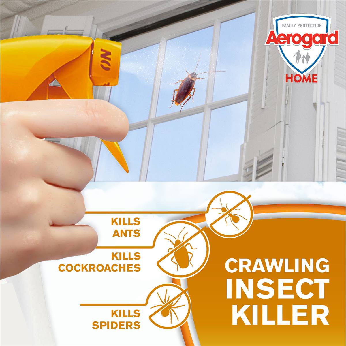 Aerogard Home Crawling Insect Killer Spray 300ml | Woolworths