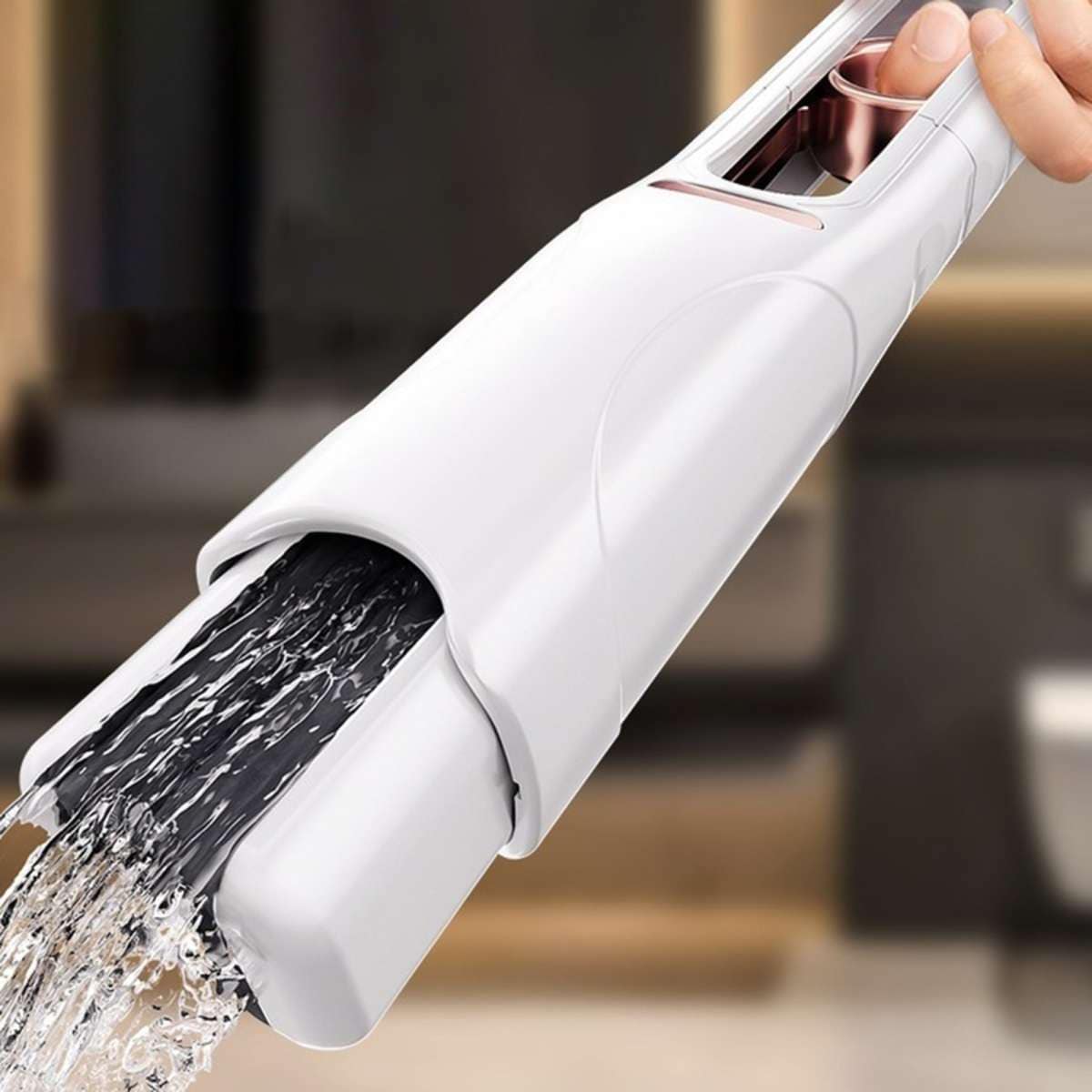 Squeegee Mop Woolworths