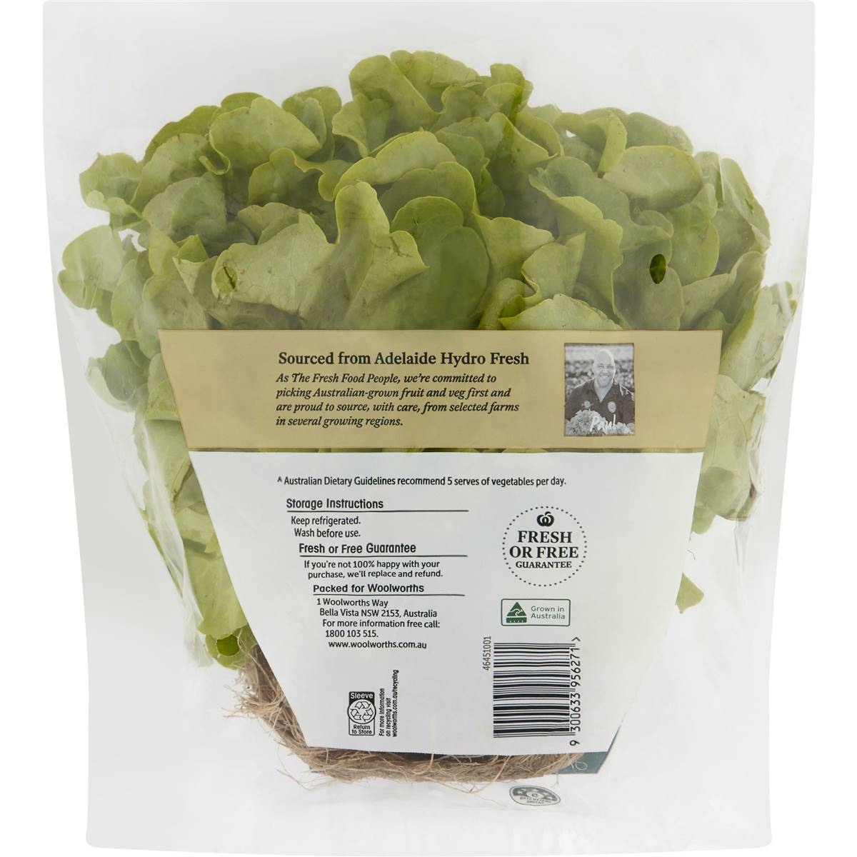 Woolworths Lettuce Oakleaf Green Each | Woolworths