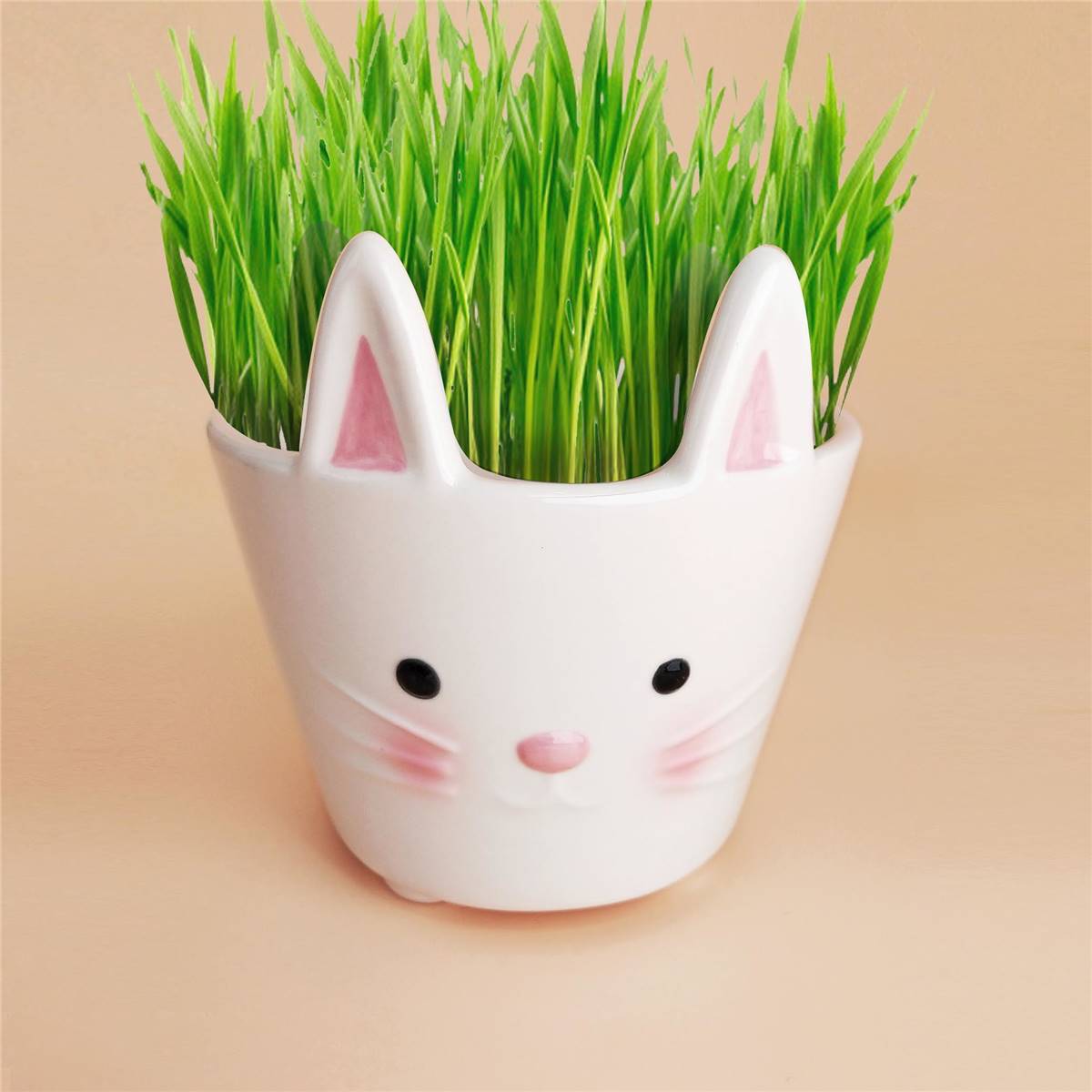 Easter Rabbit Plant Pot Each | Woolworths