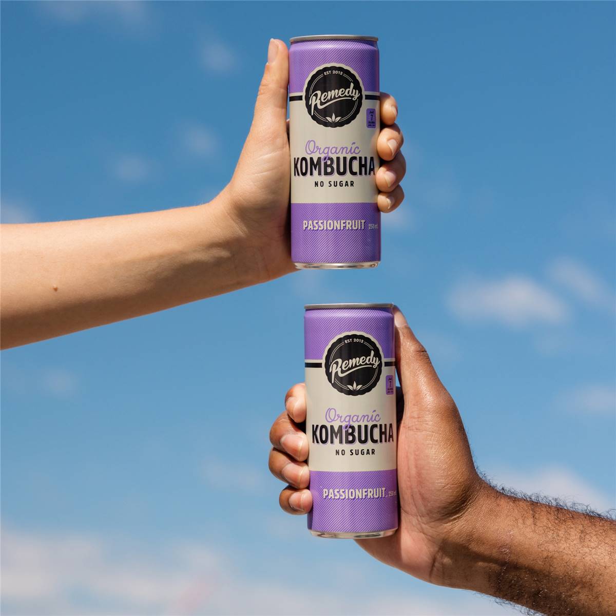 Remedy Passionfruit Kombucha 250ml X4 Pack | Woolworths