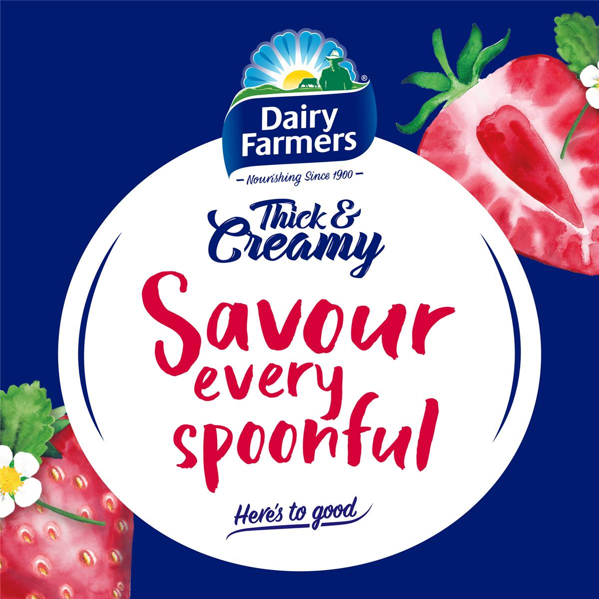 Dairy Farmers Thick & Creamy Strawberry Yoghurt 4 Pack | Woolworths