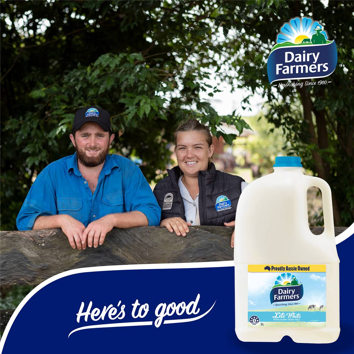 Dairy Farmers Lite White Milk 3l | Woolworths
