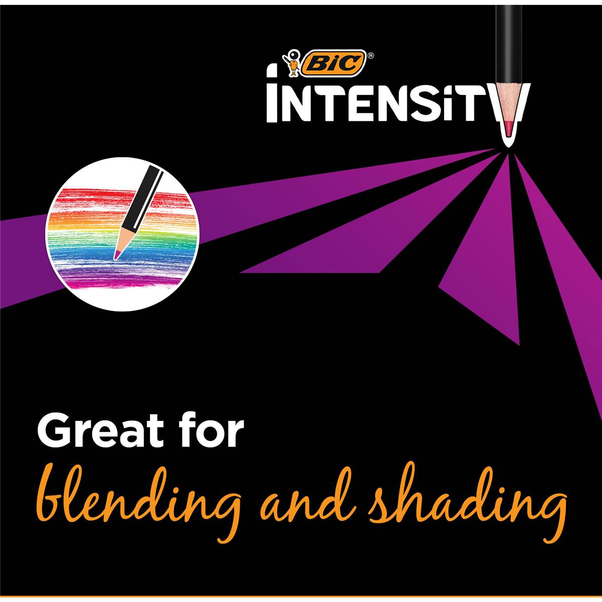 Bic Intensity Woodcase Colouring Pencil 12 Pack | Woolworths