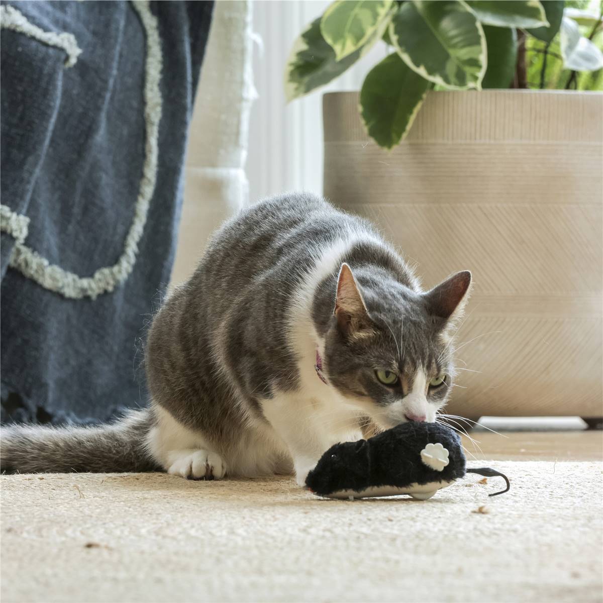 Purina Wind Me Up Mouse For Cats Each | Woolworths