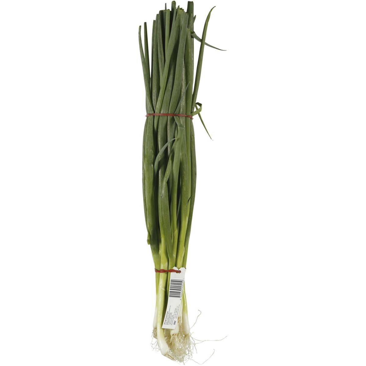 Spring Onion Eschallot Bunch | Woolworths