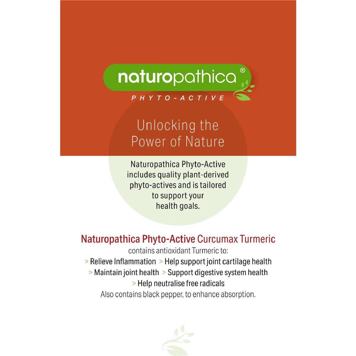 Naturopathica Curcumax Turmeric Daily 3100mg Tablets 80 Pack | Woolworths