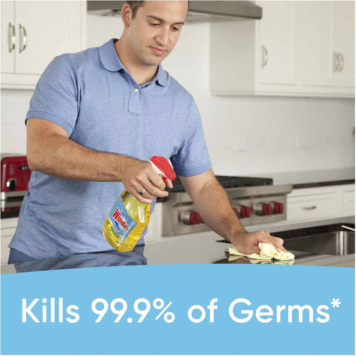 Windex Multi-purpose Disinfectant Cleaner Lemon 500ml | Woolworths