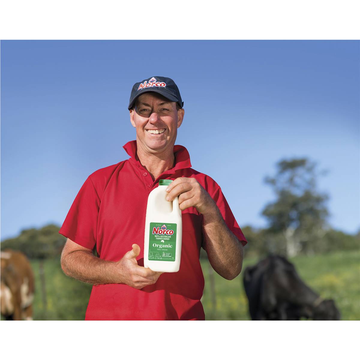 Norco Organic Milk 2l | Woolworths
