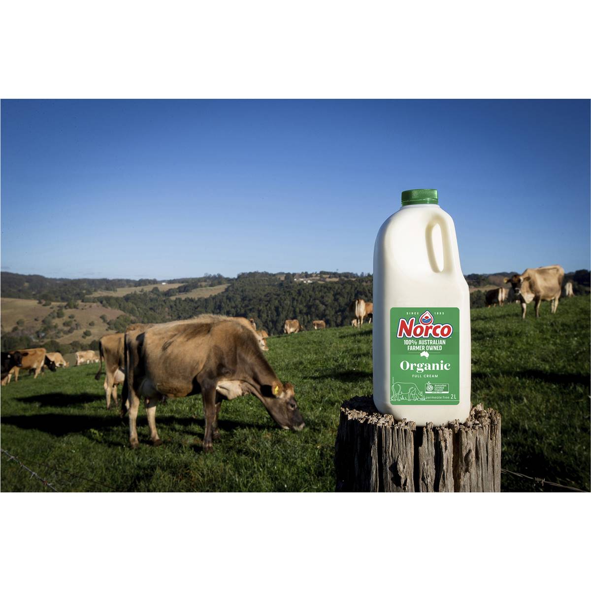 Norco Organic Milk 2l | Woolworths