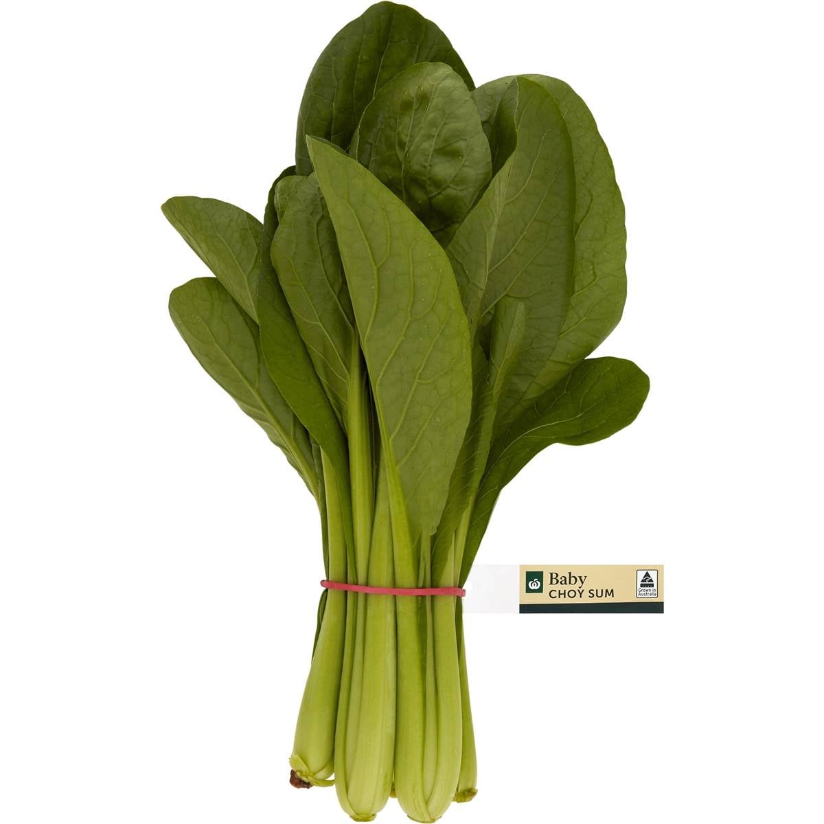 Choy Sum Baby Asian Greens each | Woolworths