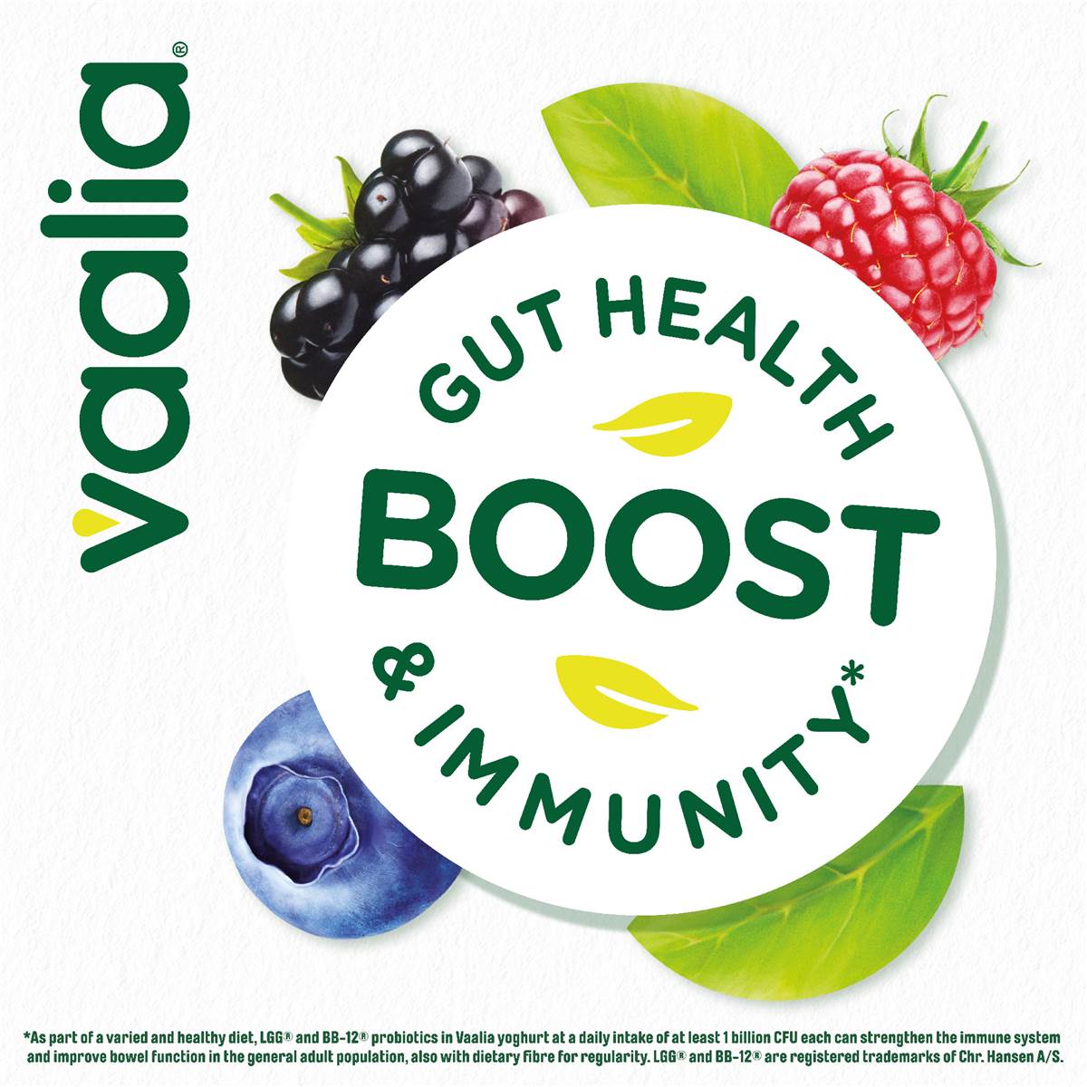 Vaalia Probiotic Yoghurt Luscious Berries 900g | Woolworths