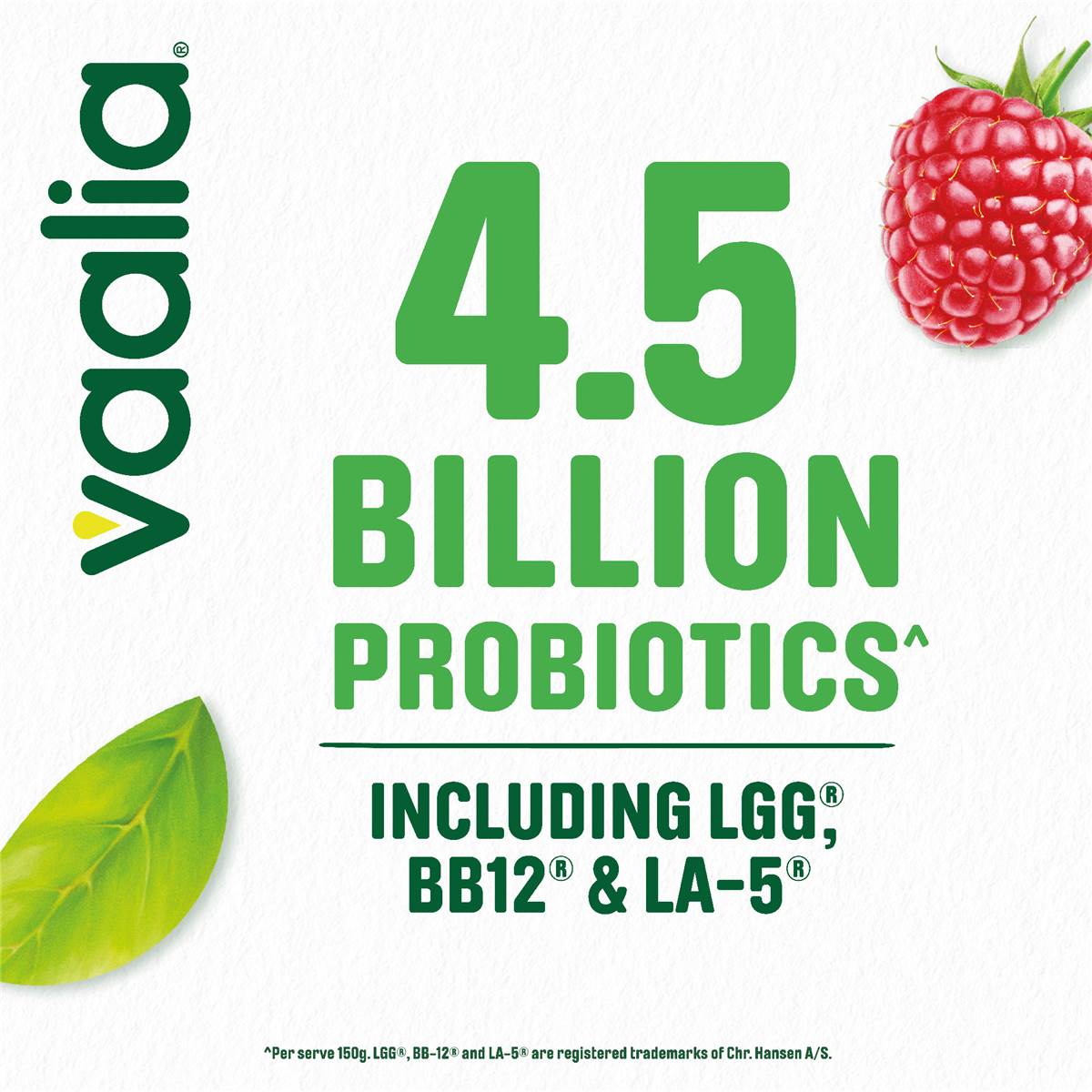 Vaalia Probiotic Yoghurt Luscious Berries 900g | Woolworths