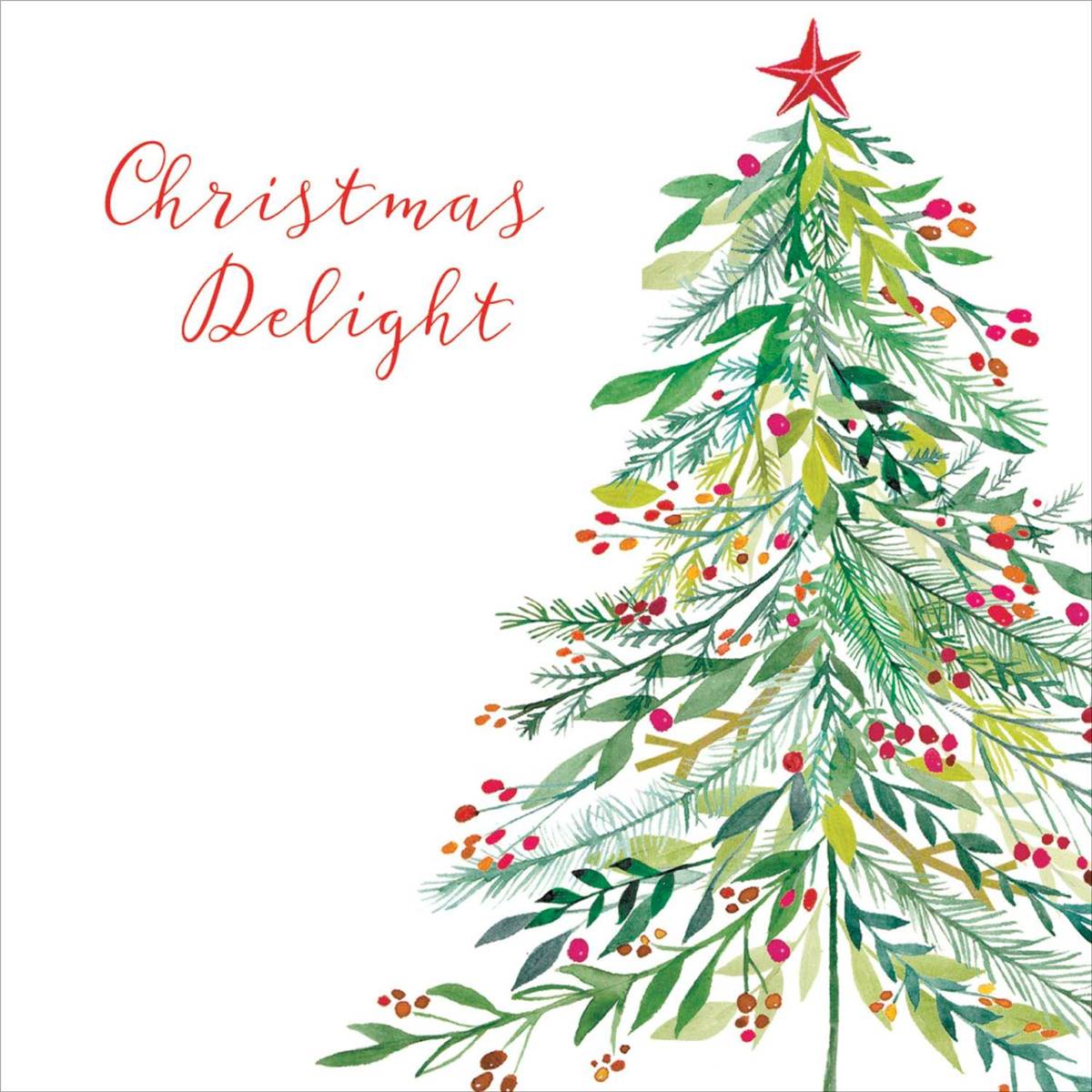 John Sands Christmas Boxed Cards 10 Pack | Woolworths