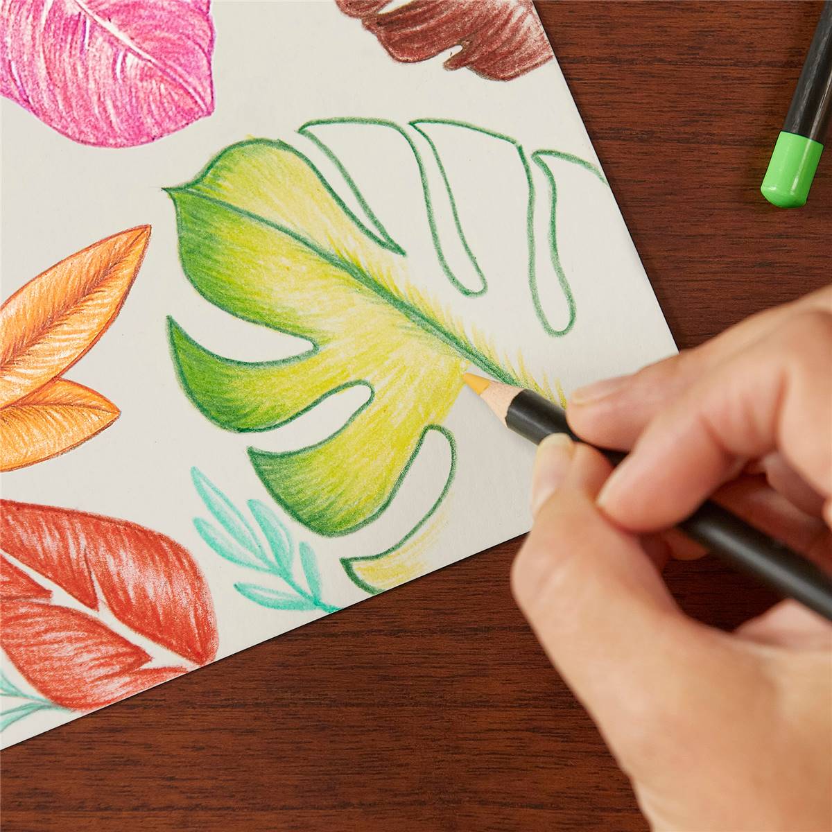 Bic Intensity Colouring Pencils 24 Pack | Woolworths