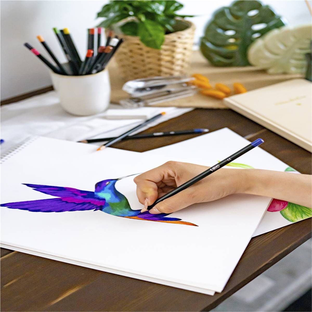 Bic Intensity Colouring Pencils 24 Pack | Woolworths