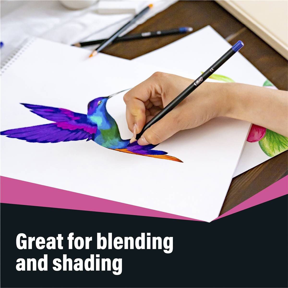 Bic Intensity Colouring Pencils 24 Pack | Woolworths