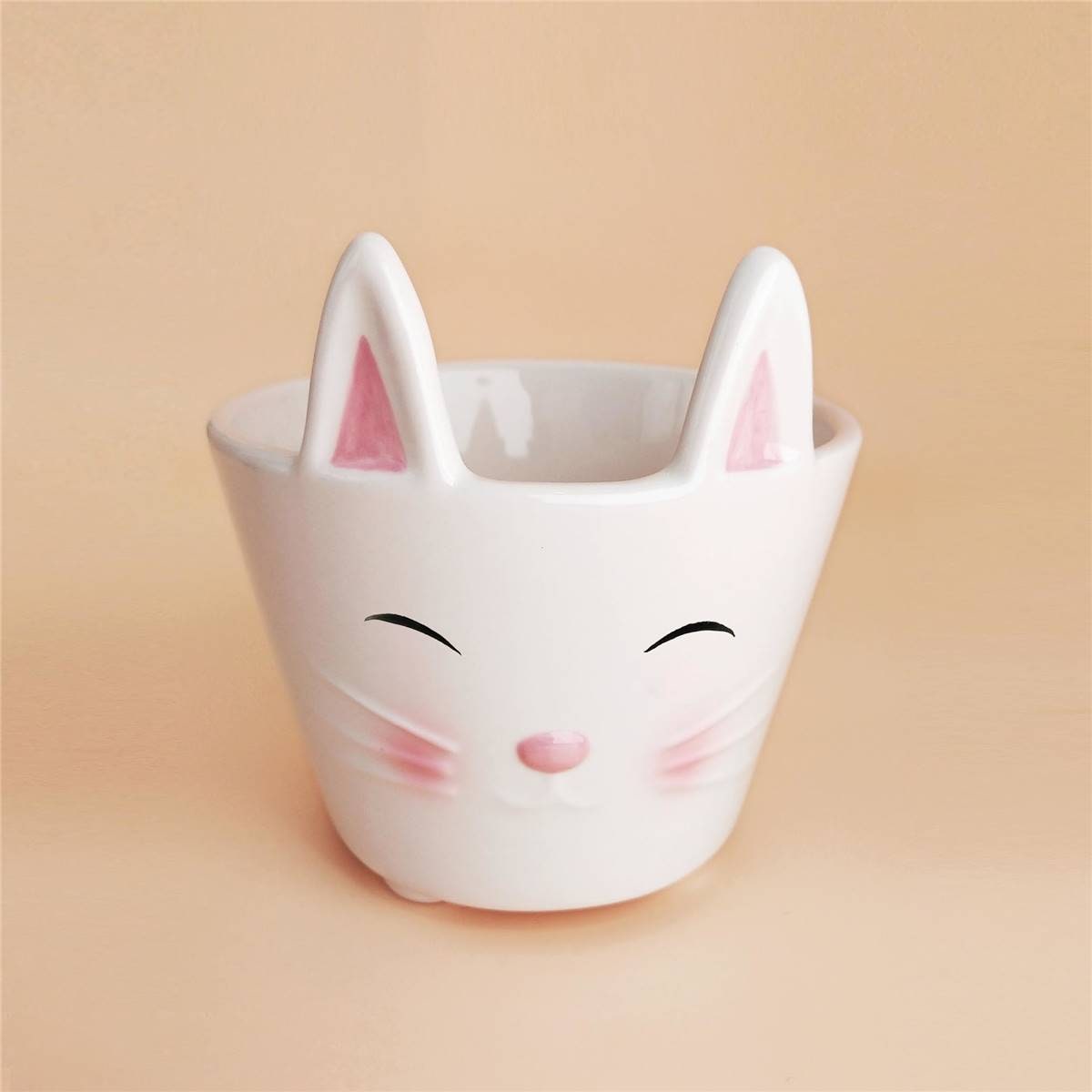 Easter Ceramic Bunny Pot Plant Each | Woolworths