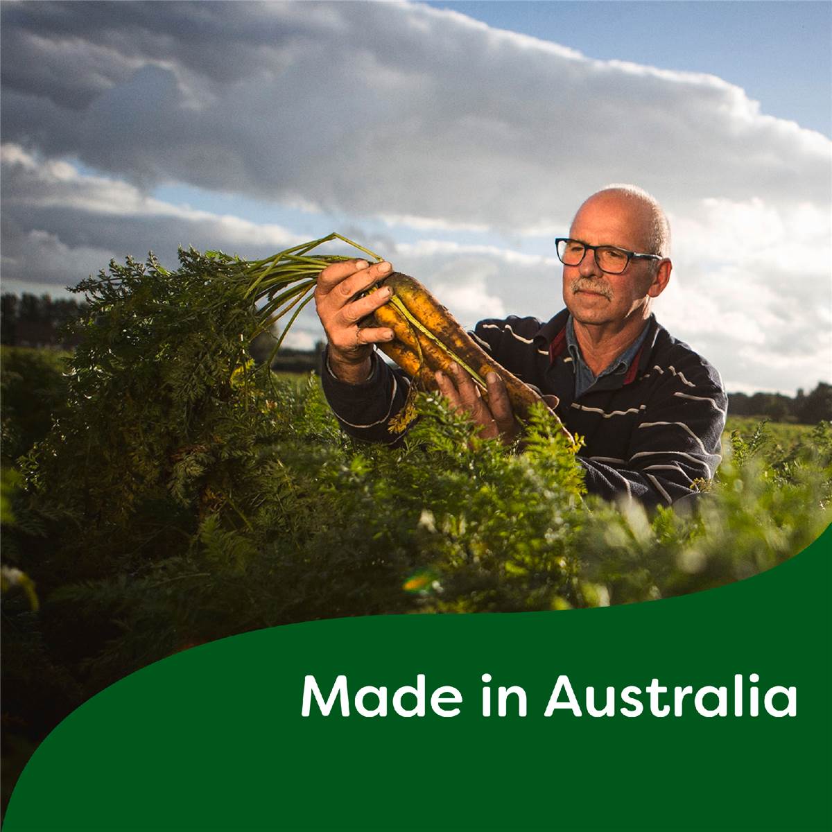 Continental Classics Pasta & Sauce Macaroni Cheese Serves 2 105 G ...