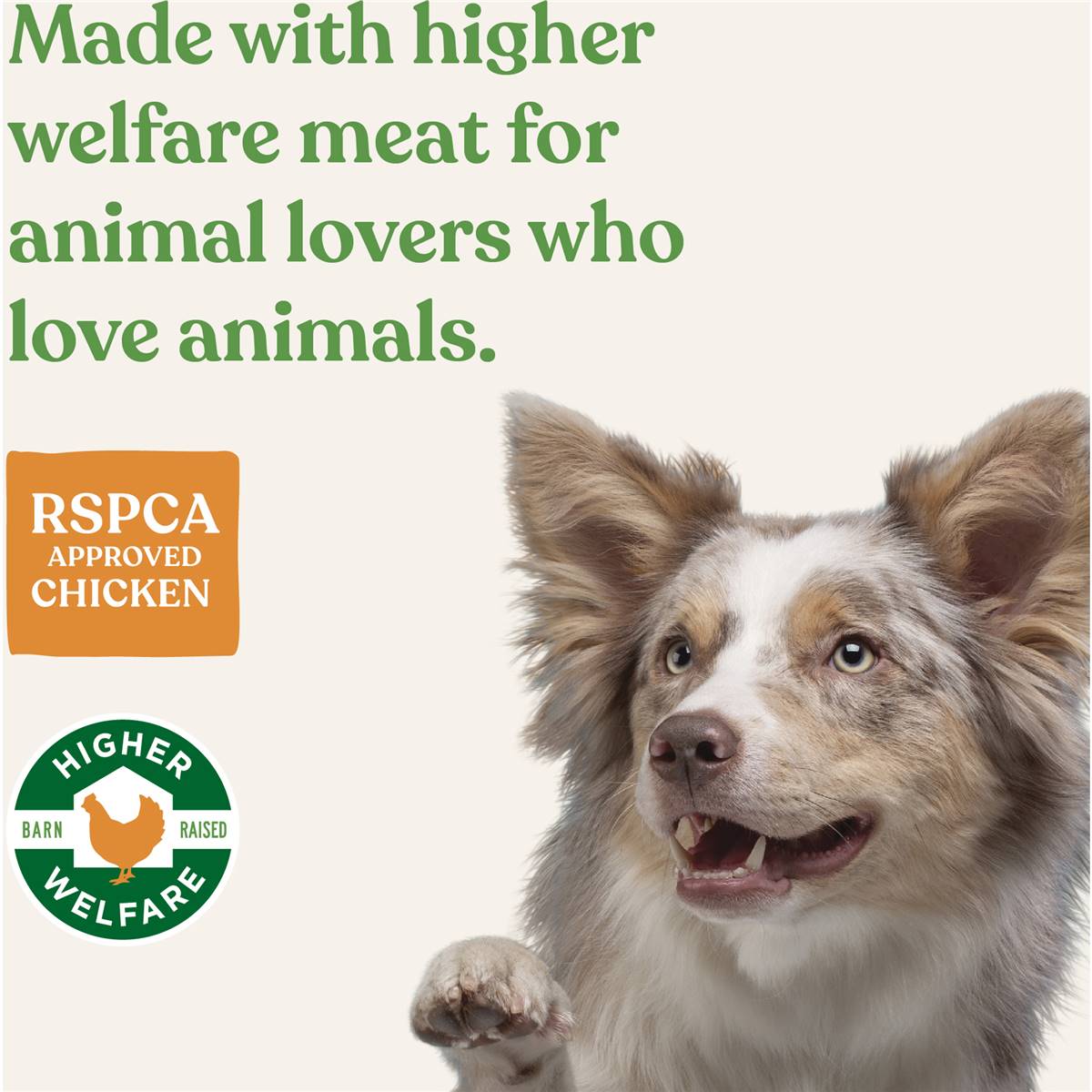 Open Paddock Chicken Winglets 170g | Woolworths