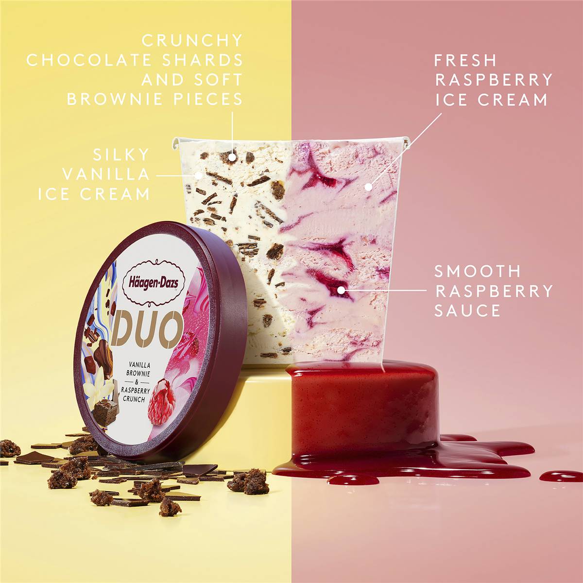 Haagen-dazs Duo Vanilla Brownie & Raspberry Crunch Ice Cream Tub 420ml ...