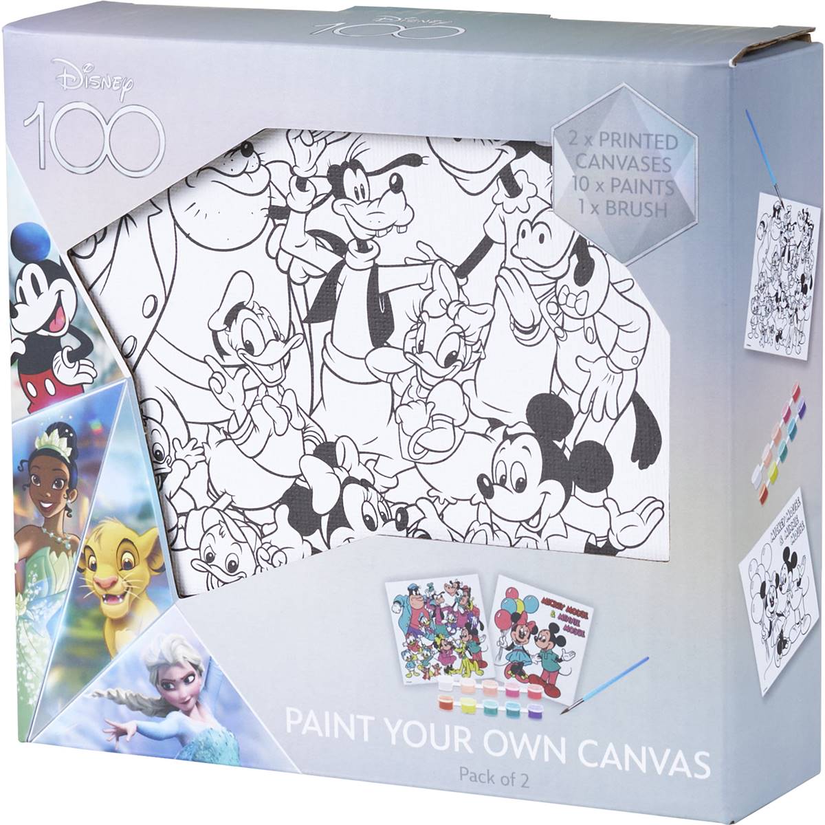 Disney Paint Your Own Canvas 2 Pack | Woolworths